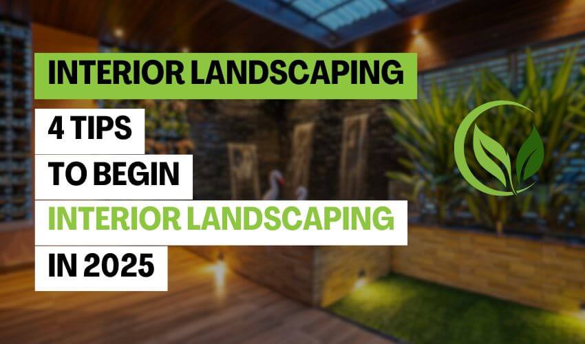 4 Tips To Begin Interior Landscaping - Interior Mulch Scapes